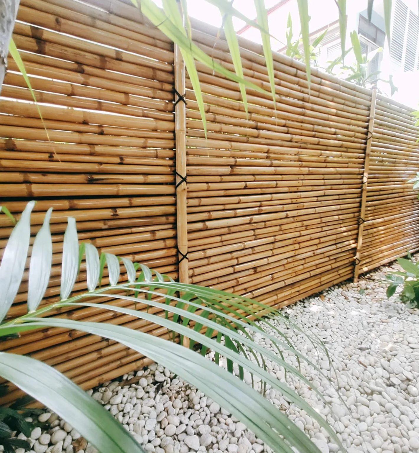 34 Beautiful "Bamboo Fence" Ideas for Privacy and Aesthetic