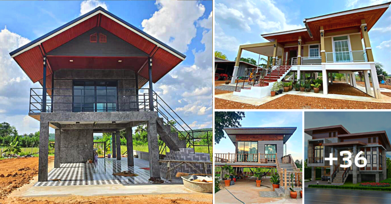 36 Stilt House Design Ideas, Well Ventilated and Flood Resilient