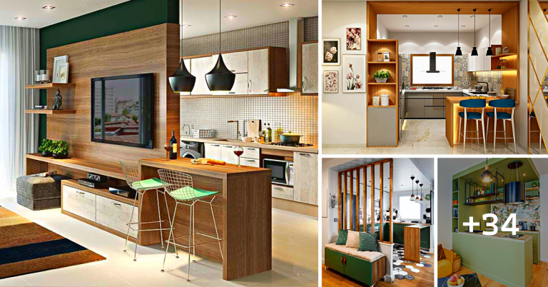 34 Kitchen Partition Ideas That Are Beautiful and Practical
