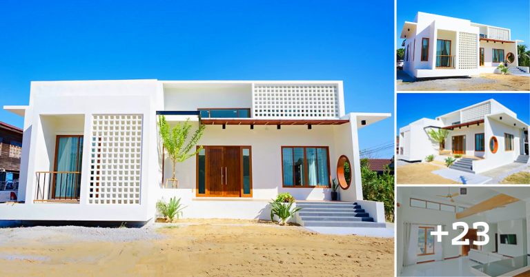 Modern Minimalist Box House, Warm and Inviting With Woodwork, 3 ...