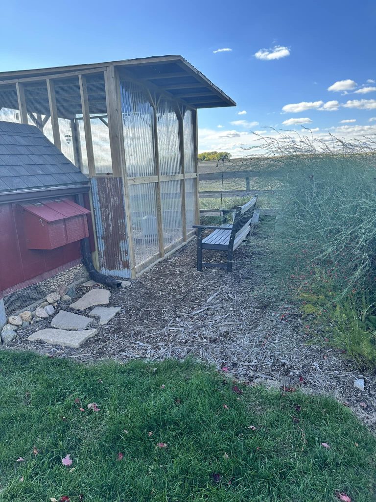 22 Creative Chicken Coop Ideas That You Can Build in a Weekend